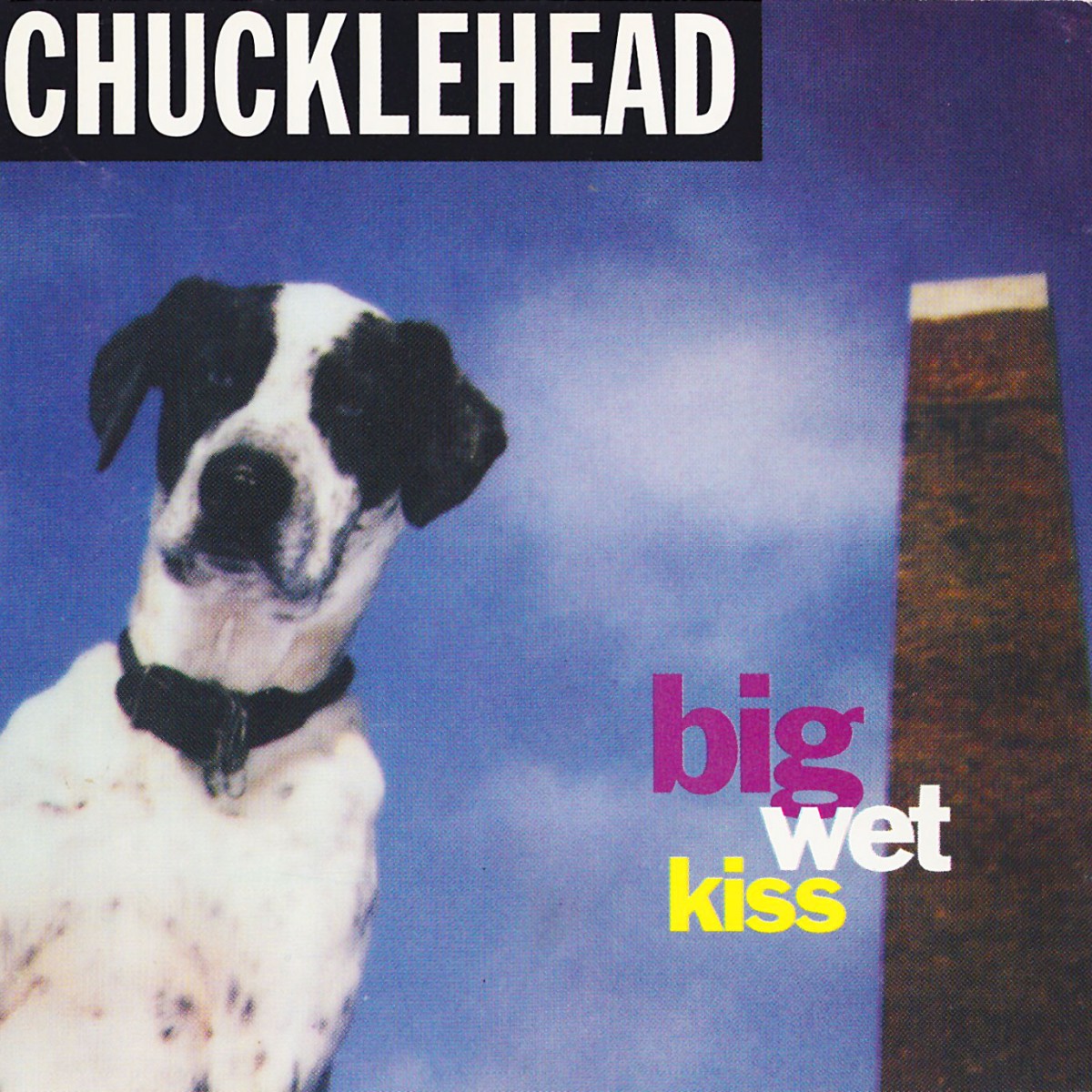 Albums | CHUCKLEHEAD